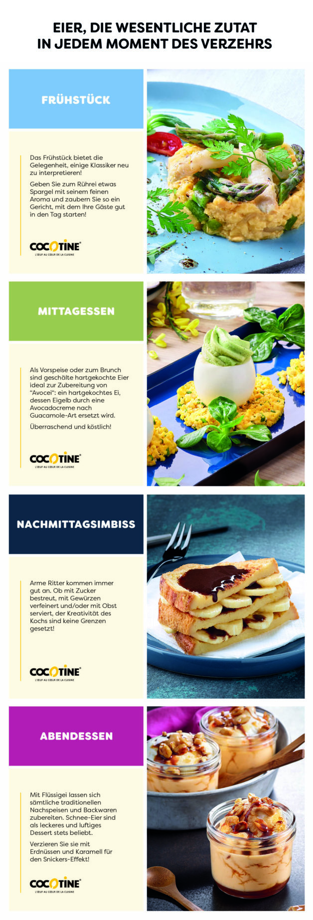 Foodservice: Eiprodukte für alle Verzehrmomente - Cocotine