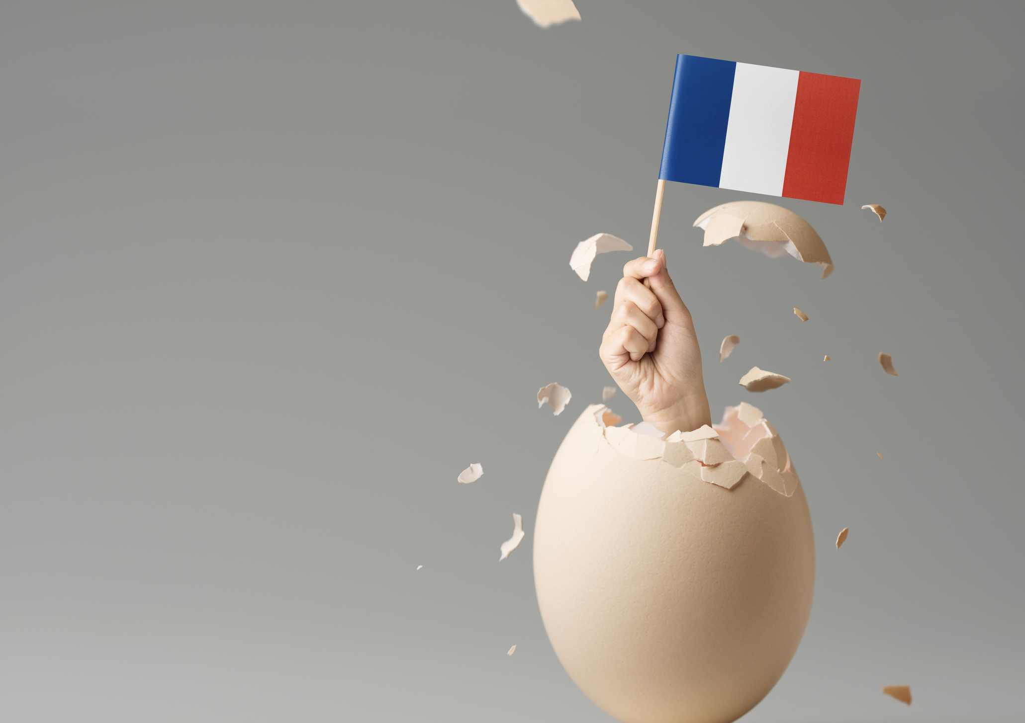 “Œufs de France”: A new label is hatched for French eggs. - Cocotine