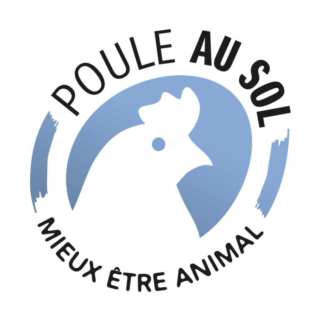 Cocotine end of caged eggs. - Cocotine