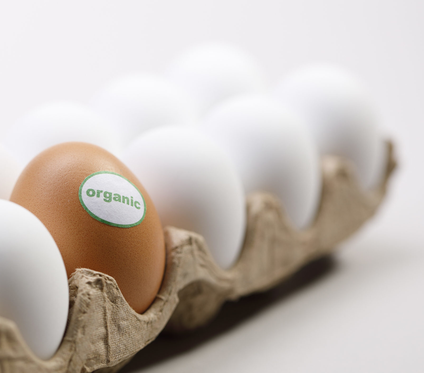 Les ovoproduits bio : une valeur ajoutée en cuisine | Cocotine - Cocotine